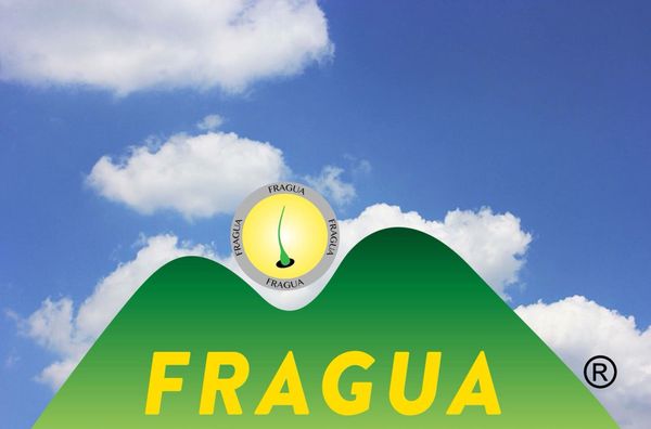 PRODUCTOS FRAGUA - Updated May 2024 - Jose Luis Mora S/N, Guadalupe ...