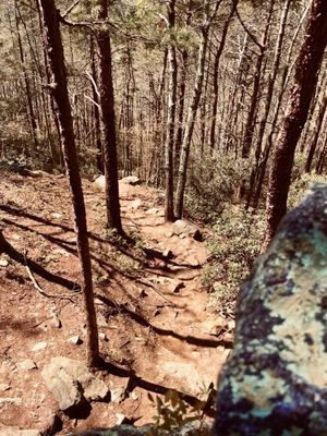 PINE LOG CREEK TRAIL - Updated June 2024 - 65 Photos - 4055 Ga-140 ...
