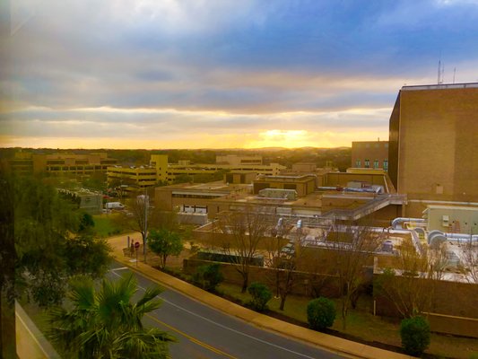 GREENBROOK TMS NEUROHEALTH CENTERS - BRYKER WOODS - Updated July 2024 ...