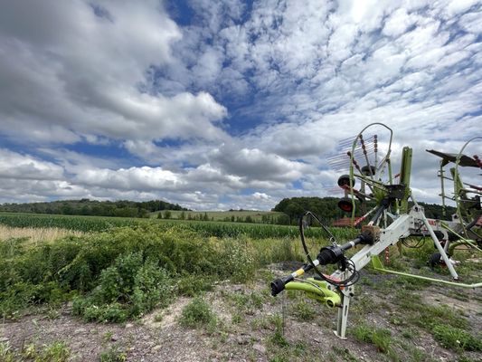 MANNING FARM DAIRY - Updated December 2025 - 34 Photos & 21 Reviews ...