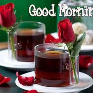 COLBEH - Updated December 2025 - 108 Photos & 179 Reviews - 75 N ...