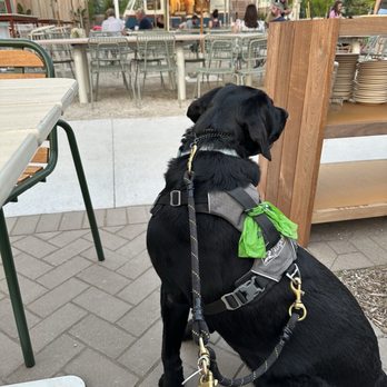 POSTBOY - Updated July 2025 - 78 Photos & 59 Reviews - 207 N Whittaker ...