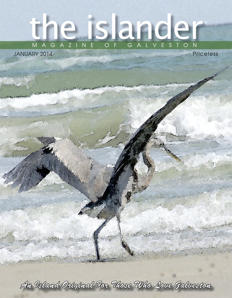 THE ISLANDER MAGAZINE - Updated June 2025 - 9348 Jamaica Beach ...