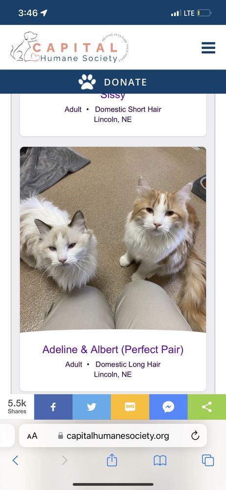 CAPITAL HUMANE SOCIETY - Updated November 2025 - 11 Reviews - 2320 Park ...