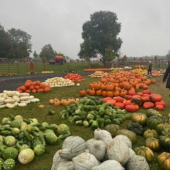 BUTLER’S ORCHARD - Updated October 2025 - 832 Photos & 426 Reviews ...