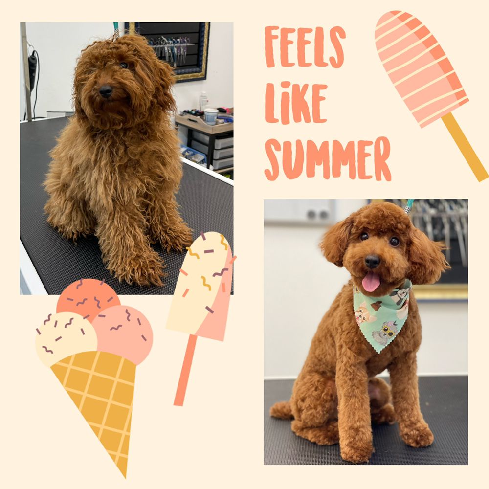 HOUSTON’S FUZZY TAILS GROOMING SALON - Updated January 2026 - 206 ...