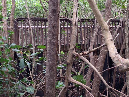 JAMES A RUTHERFORD PARK - Updated May 2024 - 91 Photos - 600 NE 24th St ...