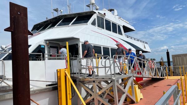 CROSS-BAY FERRY - Updated October 2025 - 44 Photos & 33 Reviews - 375 ...