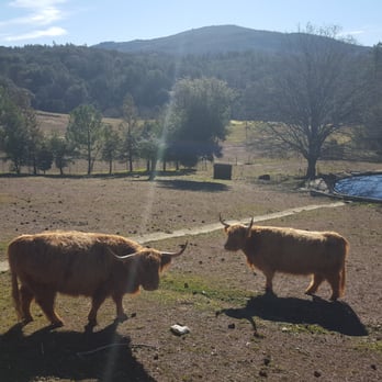 SHADOW MOUNTAIN RANCH - Updated December 2025 - 30 Photos & 13 Reviews ...