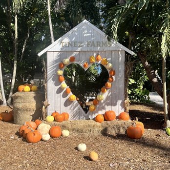 TINEZ FARMS - Updated June 2025 - 337 Photos & 62 Reviews - 16405 SW ...