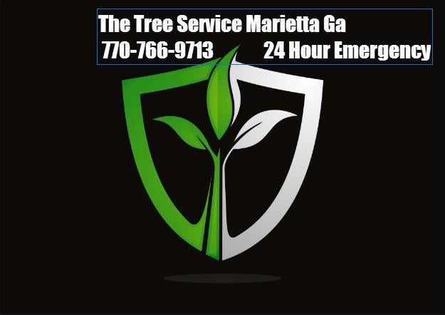 THE TREE SERVICE MARIETTA GA - NE 2146 Roswell Rd, Marietta, Georgia ...