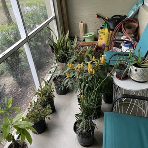 JESSE DURKO’S NURSERY - 96 Photos & 34 Reviews - 5151 SW 70th Ave ...