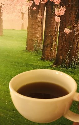 ELIXIR TEA HOUSE - 111 Photos & 65 Reviews - 1926 Hillview St, Sarasota ...