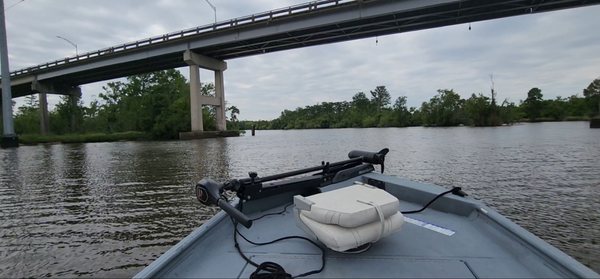 BAYOU SEGNETTE STATE PARK - 51 Photos & 44 Reviews - 7777 Westbank Expy ...