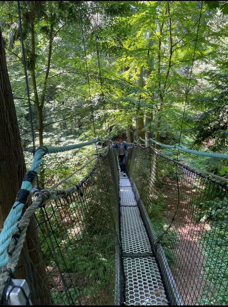 GREENHEART TREEWALK - Updated October 2025 - 20 Photos - 6804 SW Marine ...