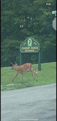 ASSOCIATION OF NEW JERSEY RIFLE& PISTOL CLUBS CHERRY RIDGE RANGE ...