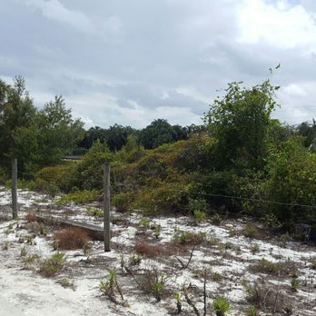 SEABRANCH PRESERVE STATE PARK - Updated January 2026 - 44 Photos & 11 ...