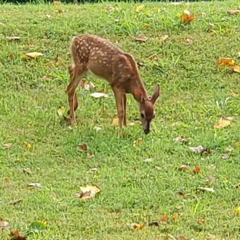 SWAIN’S LOCK - Updated September 2025 - 18 Photos - 10700 Swains Lock ...