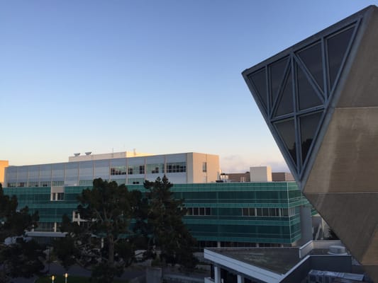 SFSU - J. PAUL LEONARD LIBRARY - Updated October 2025 - 62 Photos & 53 ...