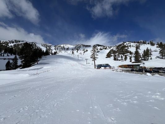 MT ROSE SKI TAHOE - Updated January 2026 - 1134 Photos & 453 Reviews ...