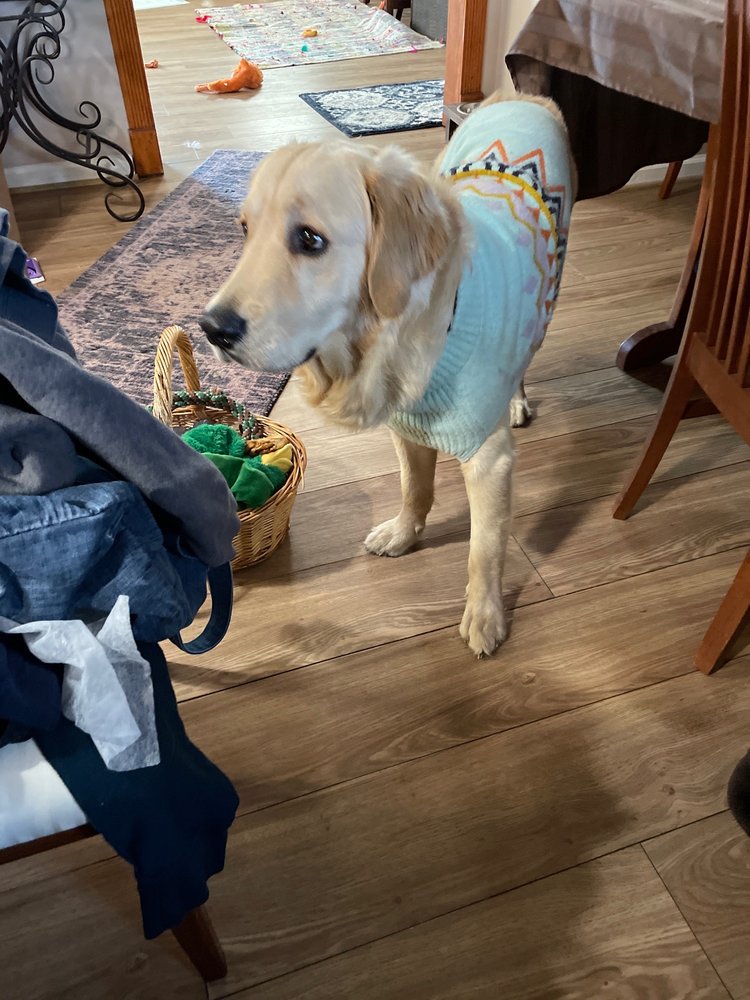 GROOMING BUTLER - Updated December 2025 - 21 Photos - Hampton, Virginia ...