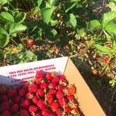 BUTLER’S ORCHARD - Updated November 2025 - 832 Photos & 426 Reviews ...