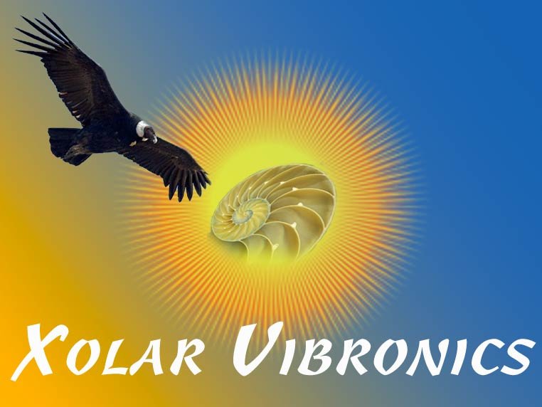 XOLAR VIBRONICS CENTER FOR HOLISTIC HEALING - Updated October 2025 - 12 ...