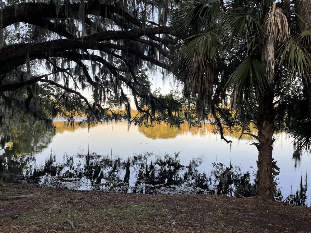 LAKE ALICE - Updated October 2025 - 982 Museum Rd, Gainesville, Florida ...