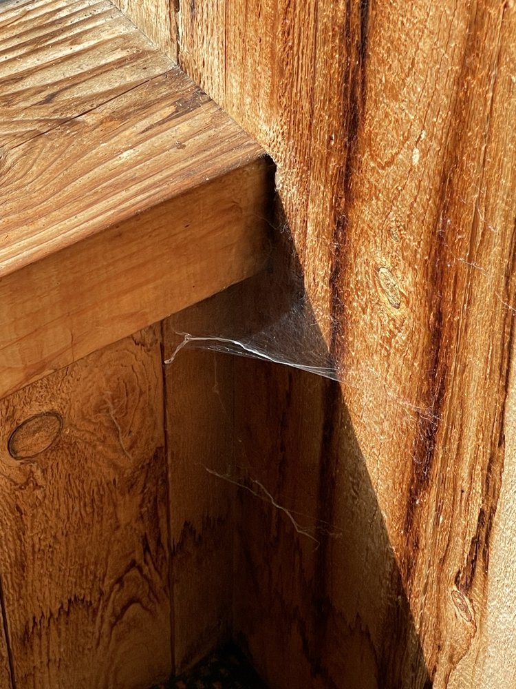 SNOWY OWL INN - Updated August 2025 - 34 Photos & 112 Reviews - 41 ...