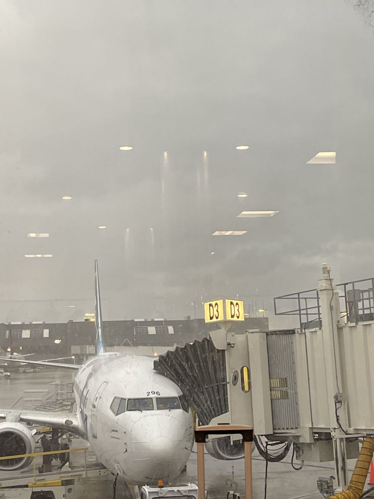 TERMINAL D - ATLANTA AIRPORT - Updated September 2024 - 20 Photos & 20 ...