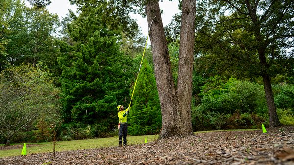 BARTLETT TREE EXPERTS - Updated December 2025 - 54 Photos - 8 Francis ...