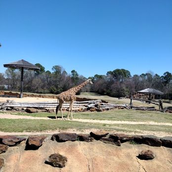 CALDWELL ZOO - Updated June 2025 - 421 Photos & 115 Reviews - 2203 W ...
