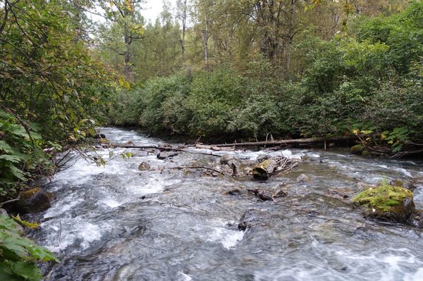 BARBARA FALLS TRAIL - 12 Photos - 21711 Ken Logan Cir, Anchorage, AK - Yelp