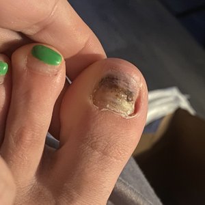 FENTON NAILS - Updated November 2025 - 32 Photos & 70 Reviews - 15274 ...