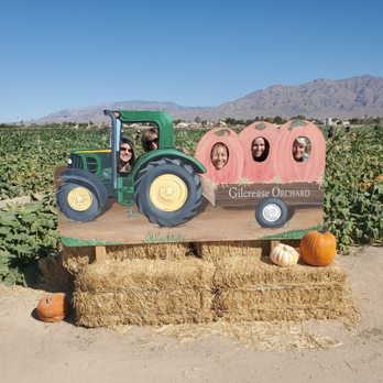 GILCREASE ORCHARD - Updated July 2025 - 2257 Photos & 549 Reviews ...