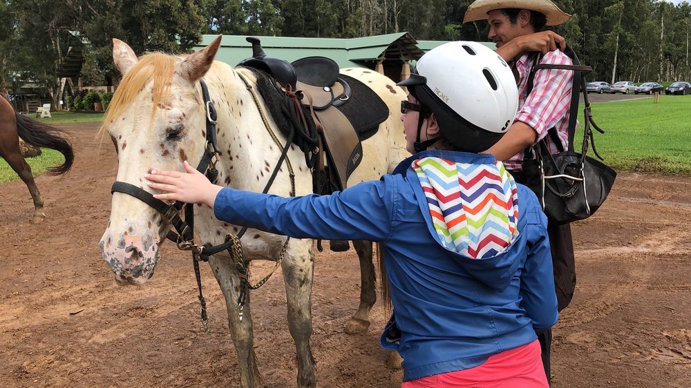 SILVER FALLS RANCH - FERMÉ - 302 photos & 250 avis - 2888 Kamookoa Rd ...