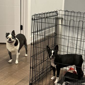 NILES ANIMAL HOSPITAL & BIRD MEDICAL CENTER - Updated October 2025 - 39 ...