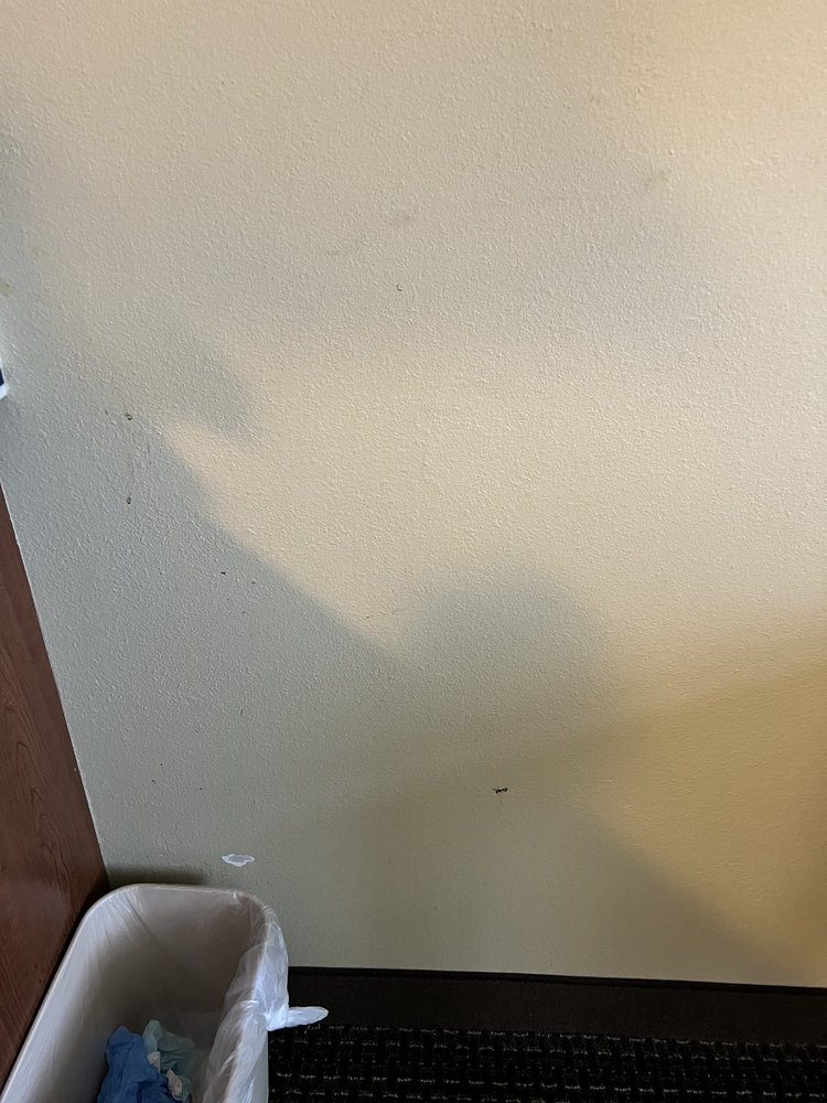 PRESIDENTIAL INN - 16 Photos & 22 Reviews - 1380 California Ave ...