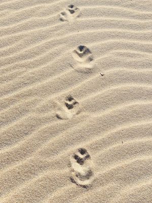 OCEAN VIEW BEACH PARK - Updated August 2025 - 162 Photos & 51 Reviews ...