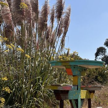 ALBANY BULB - Updated August 2025 - 1000 Photos & 248 Reviews - 1 ...