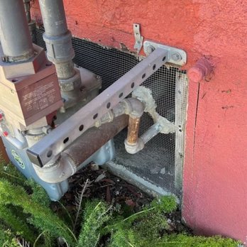 RODENT CONTROL - Updated August 2024 - 211 Photos & 332 Reviews - 5455 ...