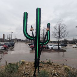 NEON CACTUS - Updated March 2025 - 237 Photos & 204 Reviews - 241 E ...