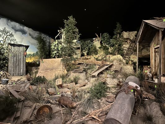 BASS PRO SHOPS - Updated April 2026 - 782 Photos & 695 Reviews - 1356 ...