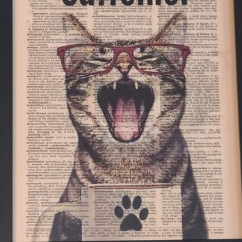 BUZZCATZ COFFEE & SWEETS - Updated July 2024 - 378 Photos & 249 Reviews ...