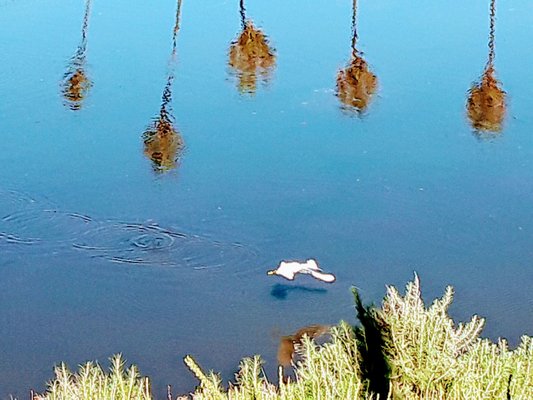 THE NORTH JETTY OF MARINA CHANNEL - Updated October 2024 - 119 Photos ...