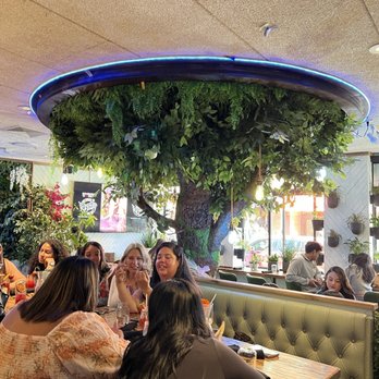 WICKED CRAFT - Updated May 2025 - 404 Photos & 157 Reviews - 54 Salem St, Boston, Massachusetts ...