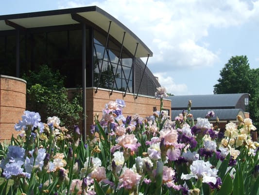 GERMANTOWN COMMUNITY LIBRARY - Updated December 2025 - 19 Photos & 17 ...