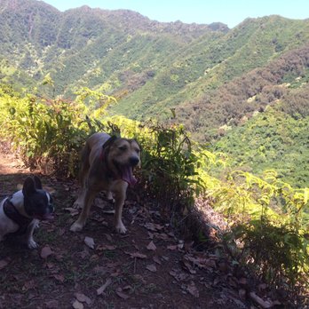 HAU’ULA LOOP TRAIL - Updated December 2024 - 141 Photos & 23 Reviews ...