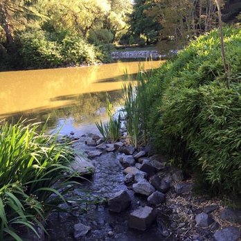 MINORU PARK - Updated December 2025 - 137 Photos & 26 Reviews - 7191 ...