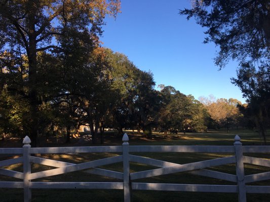 CANEMOUNT PLANTATION - Updated October 2025 - 4003 Alcorn Rd Hwy 552W ...